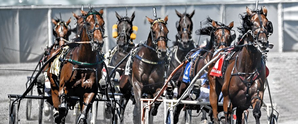 Attractions – MLCVB – The Meadowlands Liberty Convention Visitors Bureau